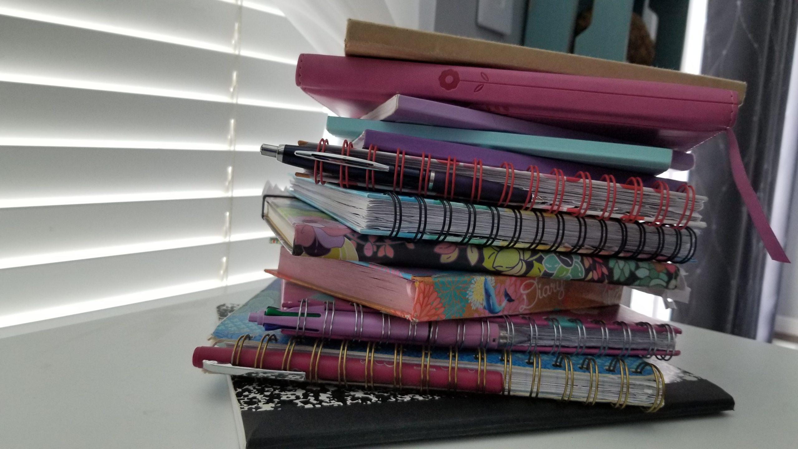 Never Too Many Notebooks - Nixi Ray Novels